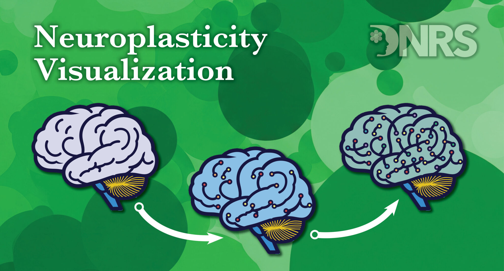 Regulating the Nervous System: Harnessing Neuroplasticity for ...
